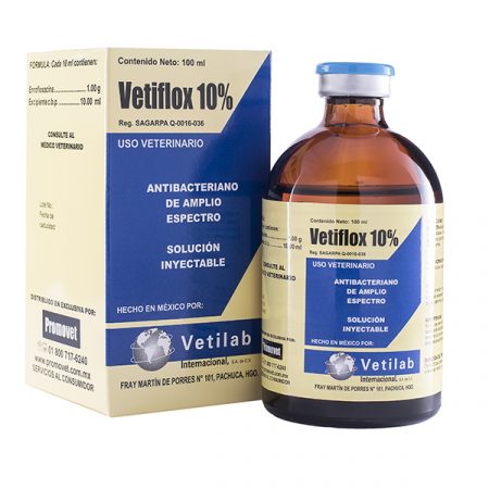 Equinos – Page 2 – Promovet